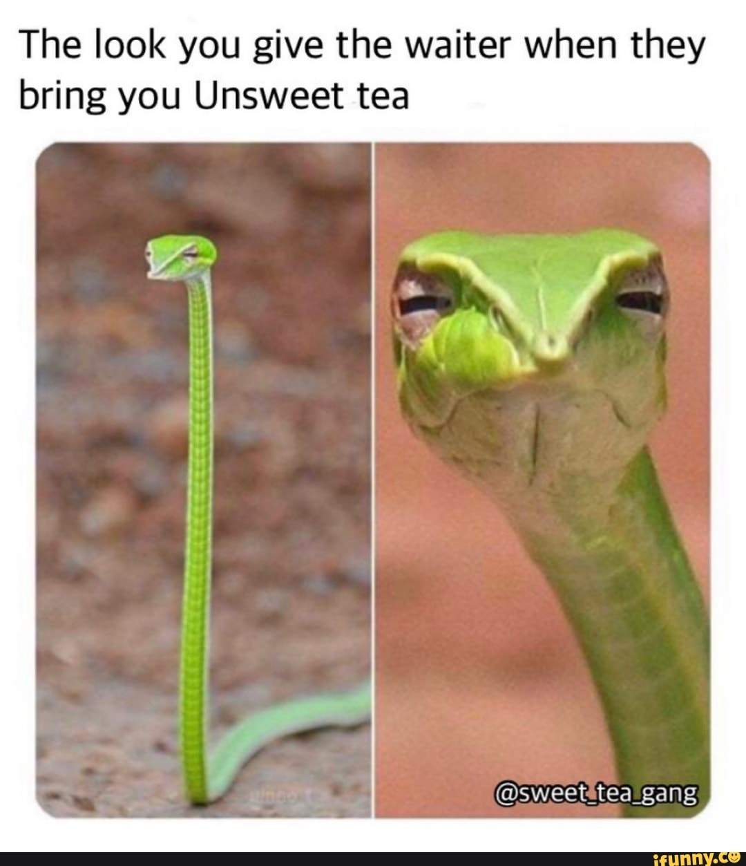 The look you give the waiter when they bring you Unsweet tea tea - iFunny