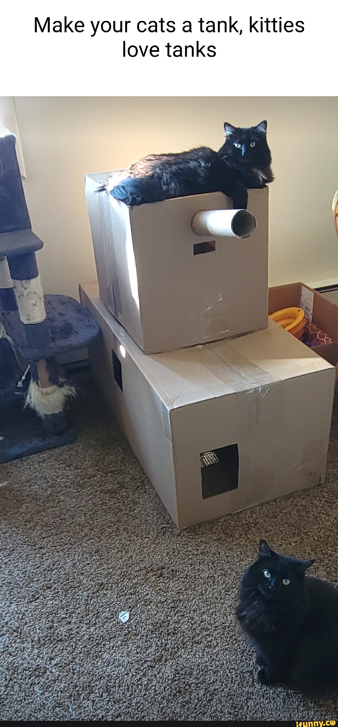 Make your cats a tank, kitties love tanks - iFunny