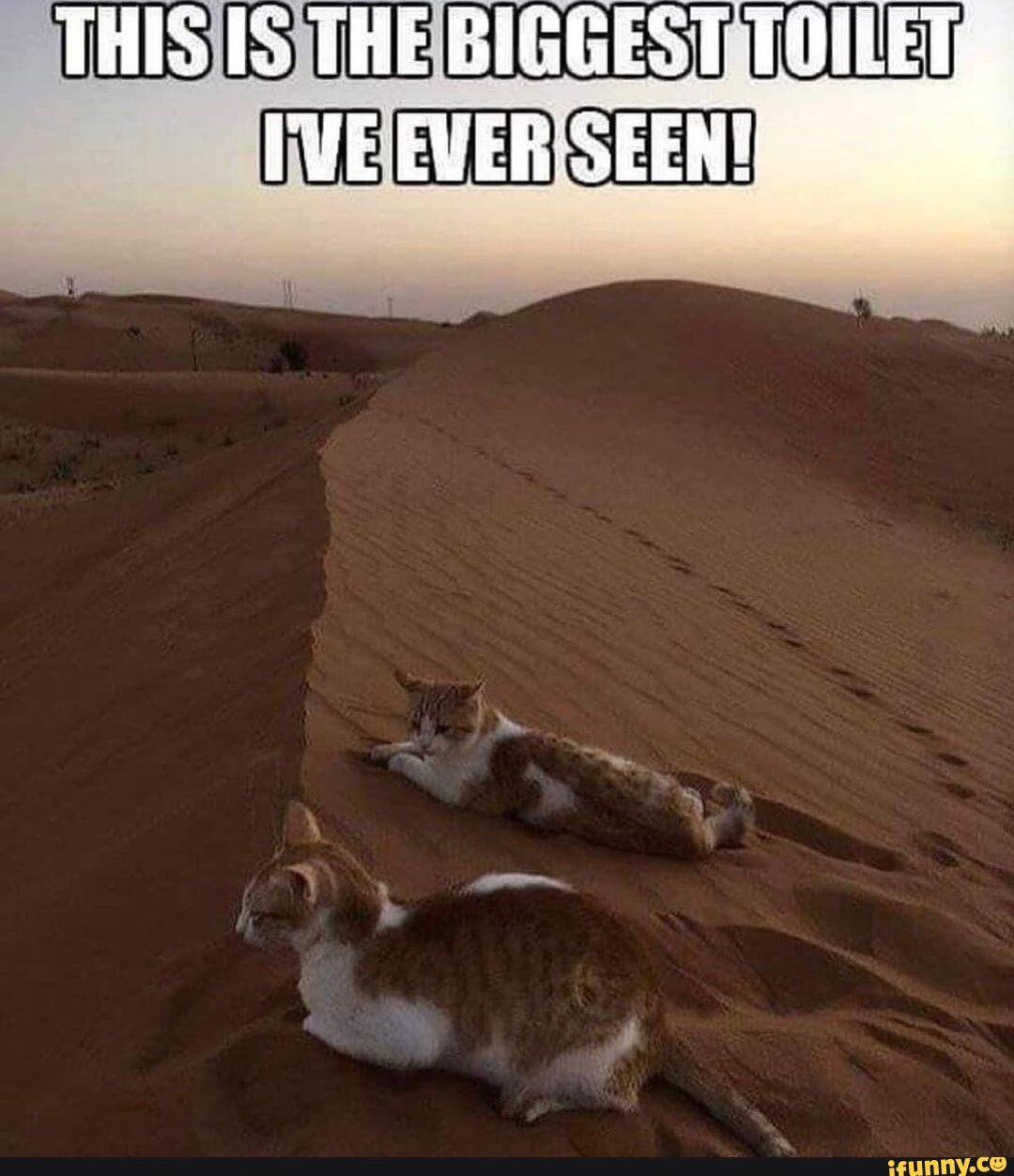 SO SHE STARTED A NEW AVATAR CYCLE She is the last avatar and the first ...