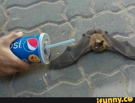 Pepsi memes. Best Collection of funny Pepsi pictures on iFunny