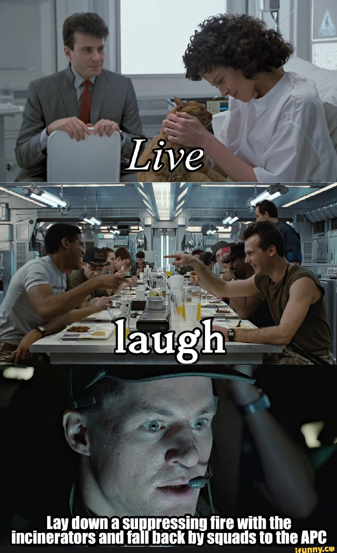 iFunny - the best memes, video, gifs and funny pics in one place