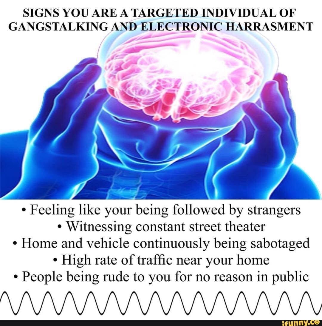 SIGNS YOU ARE A TARGETED INDIVIDUAL OF GANGSTALKING AND ELECTRONIC ...
