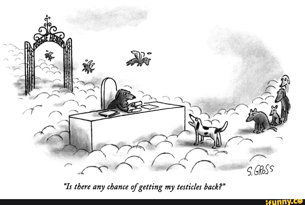 Cartoon Dump - Cartoon Dump -