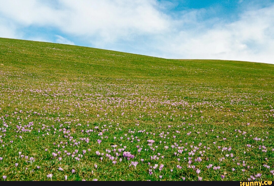 Windows memes. Best Collection of funny Windows pictures on iFunny