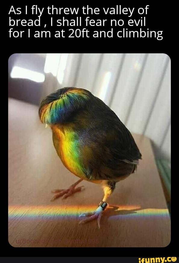 Lockheed_sr_71_blackbird memes. Best Collection of funny Lockheed_sr_71 ...