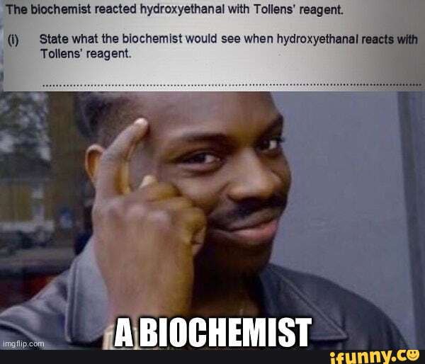 Tollens memes. Best Collection of funny Tollens pictures on iFunny