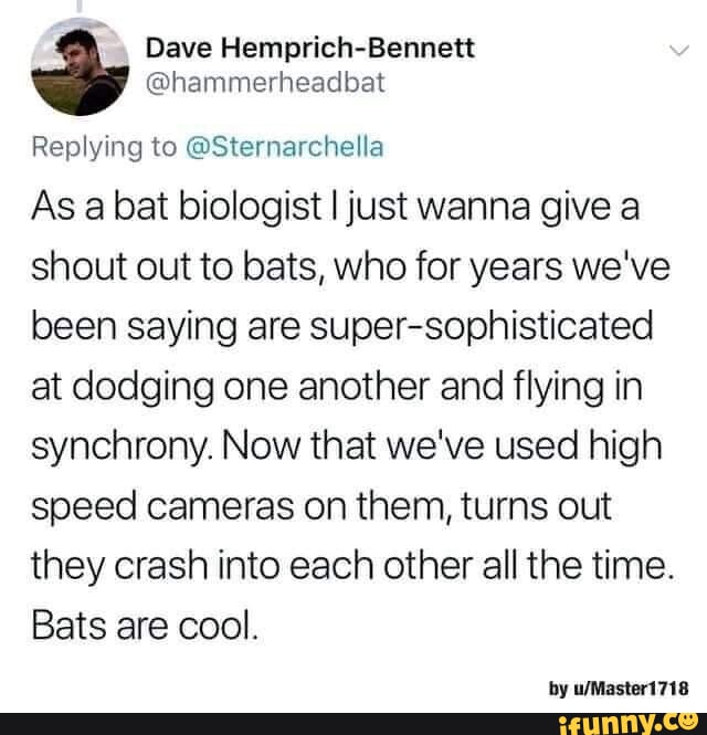 &b Dave Hemprich-Bennett @hammerheadbat Replying to @Sternarchella As a ...