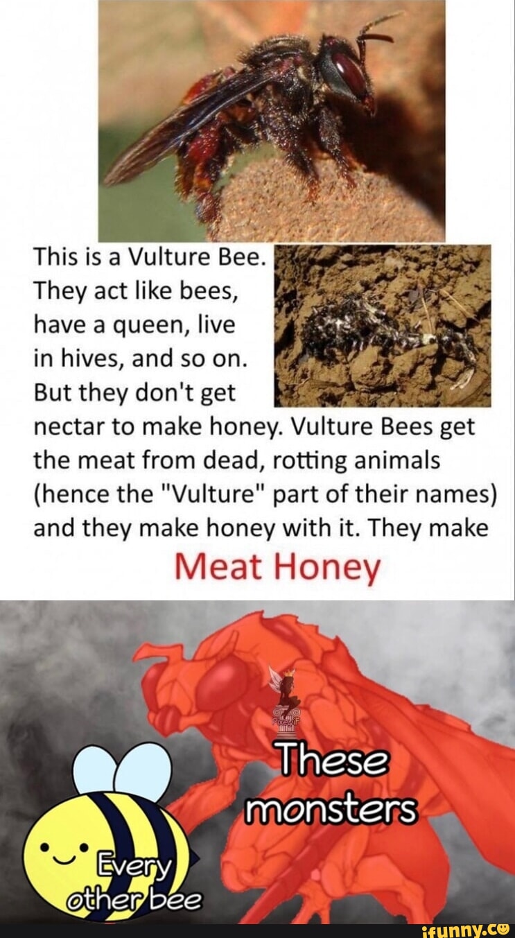 Carrion memes. Best Collection of funny Carrion pictures on iFunny