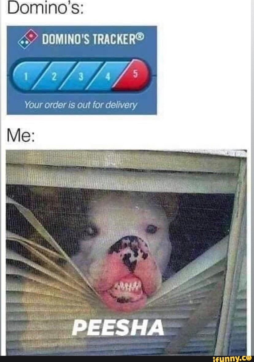 Peesha memes. Best Collection of funny Peesha pictures on iFunny