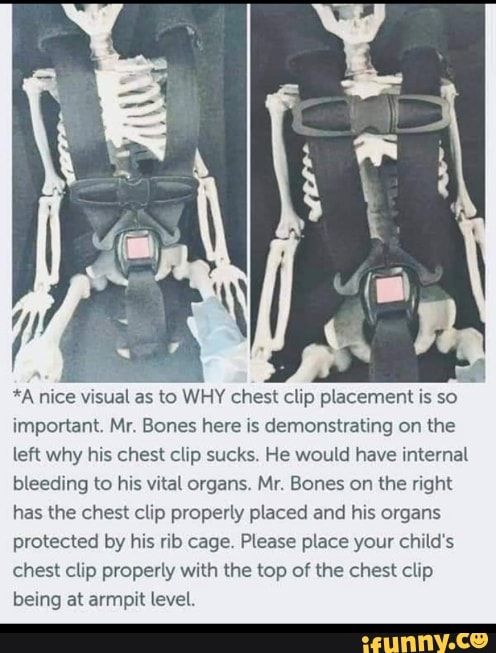 *A nice visual as to WHY chest clip placement is so important. Mr ...