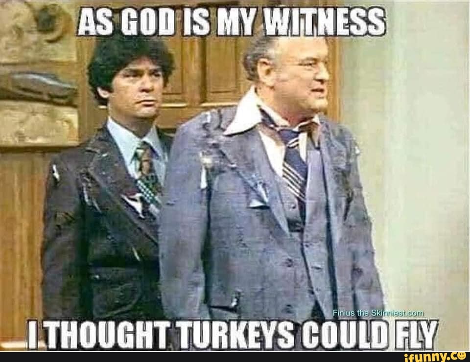 AS GOD MY WITNESS SS LTROQUGHT IURKEYS COULD IFLY - iFunny