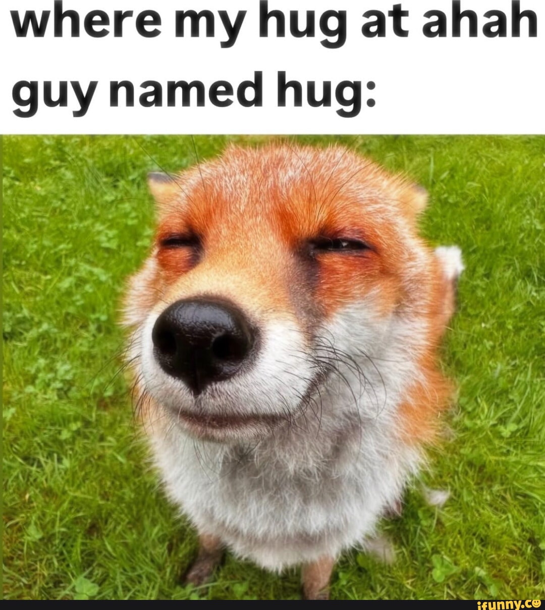 Where my hug at aha guy named hug: - iFunny