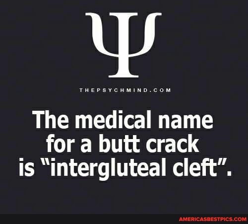 The medical name for butt crack is "intergluteal cleft". - America’s ...