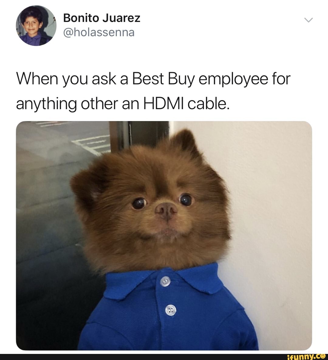 #memes #retail #pomeranian #dog #cute - IA Bonito Juarez @holassenna ...