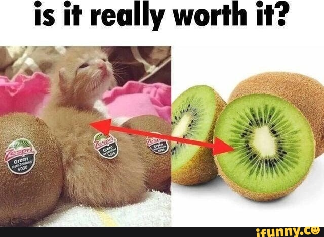 Is it really worth it? - iFunny