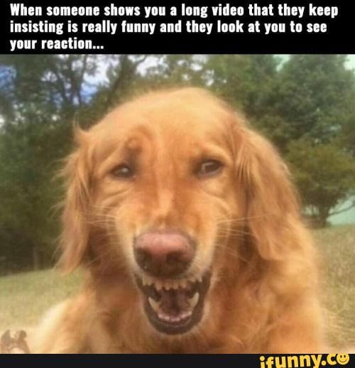 Please share and like this. for more funny memes follow me. - When ...