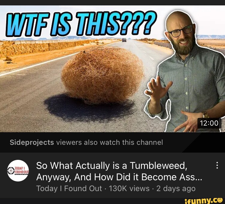 Tumbleweed memes. Best Collection of funny Tumbleweed pictures on iFunny