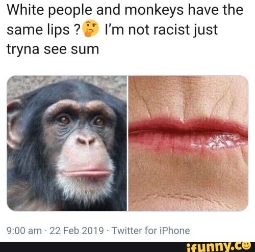 Monkey Lips Memes