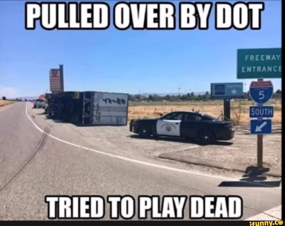 PULLED OVER BY DOT ENTRANCE TRIED TO PLAY DEAD - iFunny