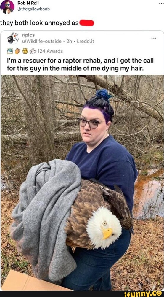 Hey both look annoyed as I'm rescuer for a raptor rehab, and I got the ...