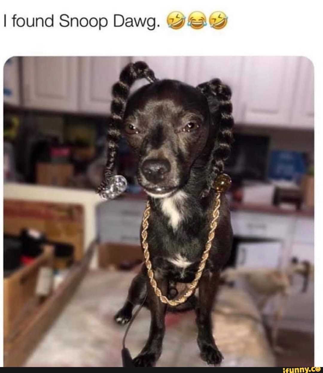 I found Snoop Dawg. 33 e :3 - iFunny