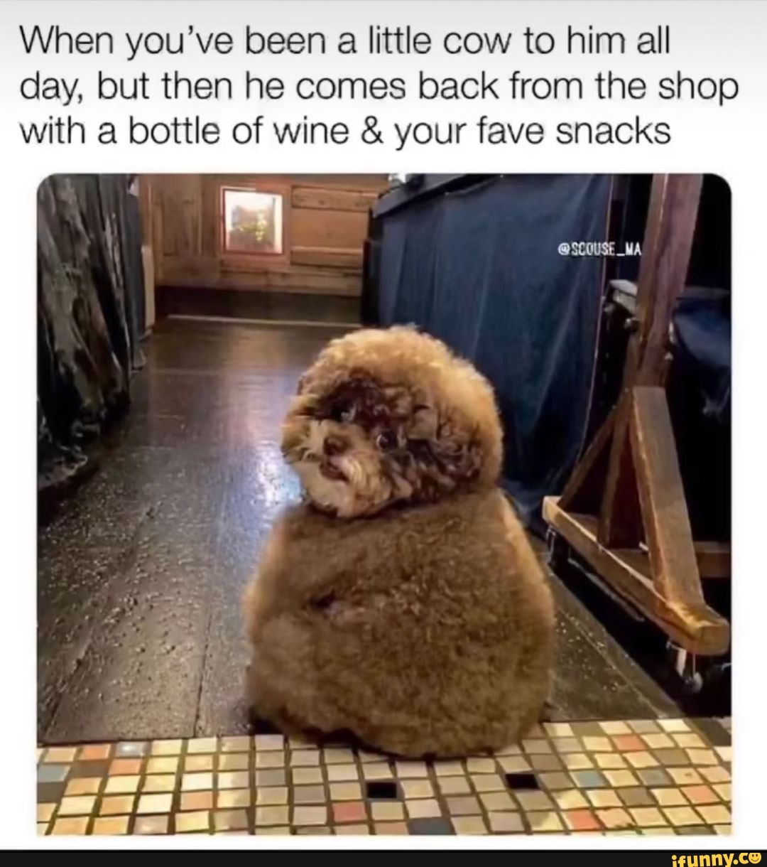 Scouse_magram memes. Best Collection of funny Scouse_magram pictures on ...