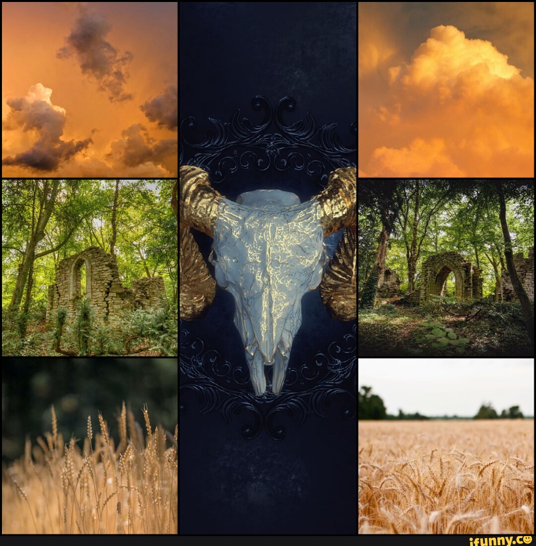 Celticaesthetic memes. Best Collection of funny Celticaesthetic ...