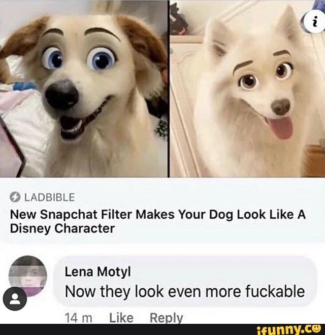 LADBIBLE New Snapchat Filter Makes Your Dog Look Like A Disney Character Lena Motyl Now They ladbible-new-snapchat-filter-makes-your-dog-look-like-a-disney-character-lena-motyl-now-they
