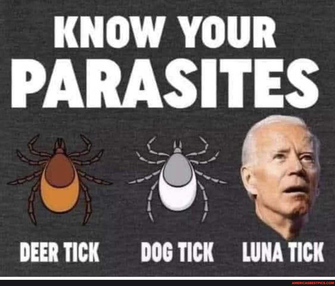KNOW YOUR PARASITES DEER TICK TICK LUNA TICK - America’s best pics and ...