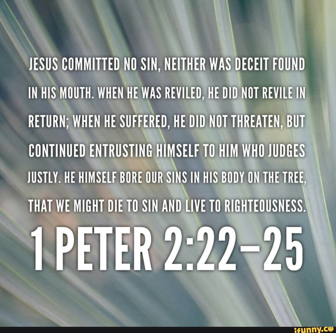 JESUS COMMITTED NO SIN, NEITHER WAS DECEIT FOUND IN HIS MOUTH. WHEN HE ...