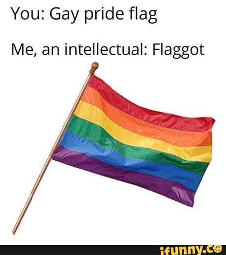 You: Gay pride flag Me, an intellectual: Flaggot - iFunny