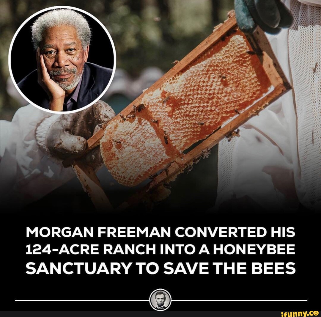 MORGAN FREEMAN CONVERTED HIS 124-ACRE RANCH INTO A HONEYBEE SANCTUARY ...