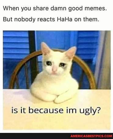 When you share damn good memes. But nobody reacts HaHa on them. is it ...