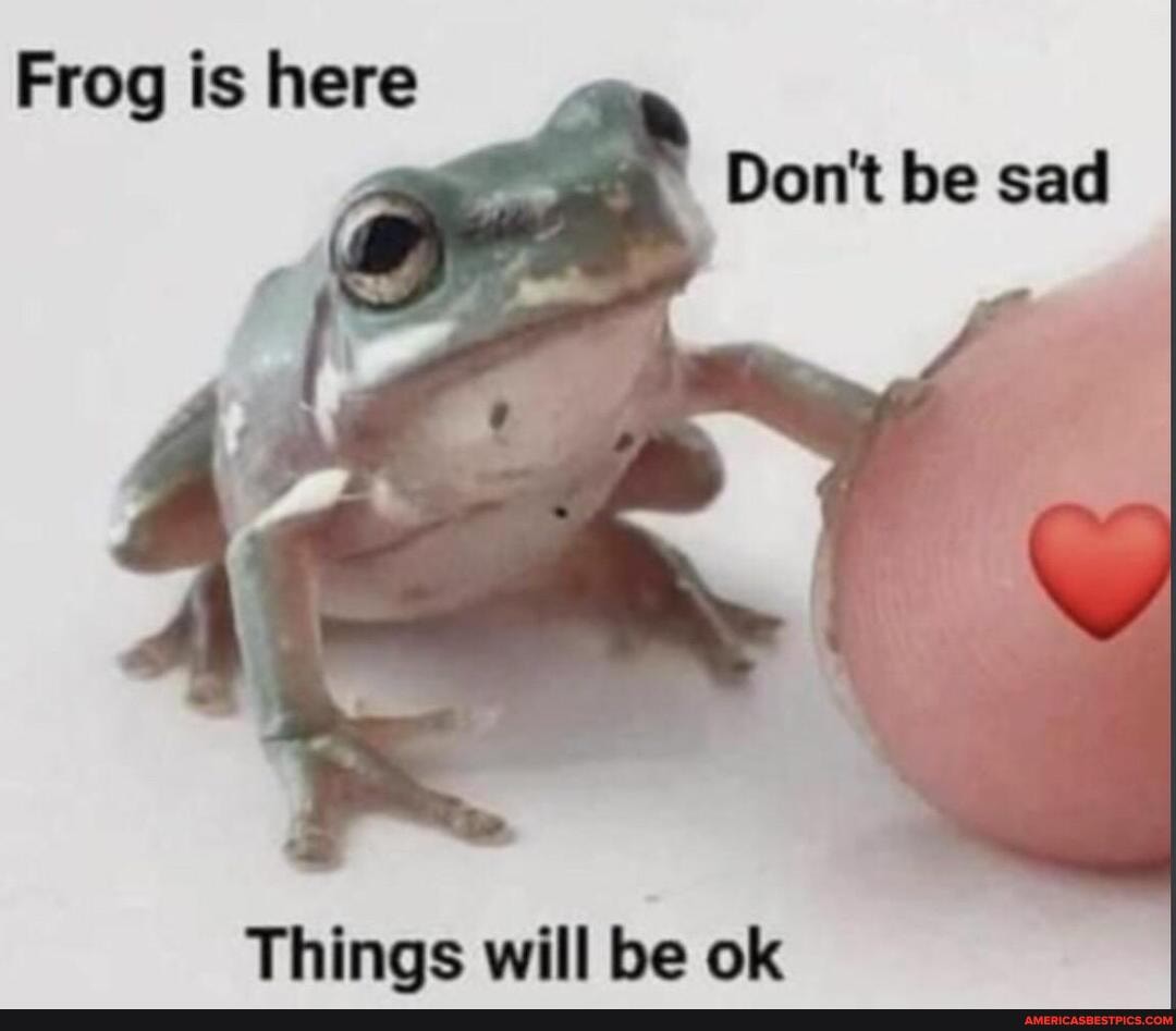 Frog is here Don't be sad Things will be ok - America’s best pics and ...