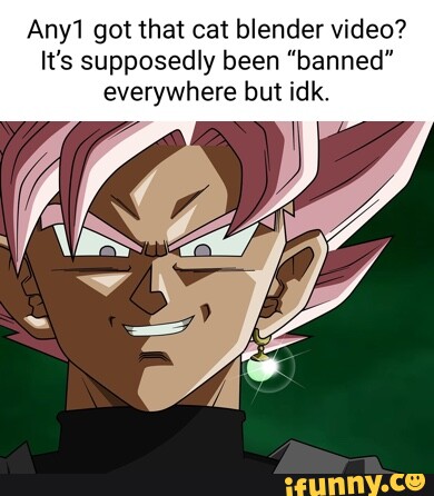 Any got that cat blender video? It's supposedly been "banned ...