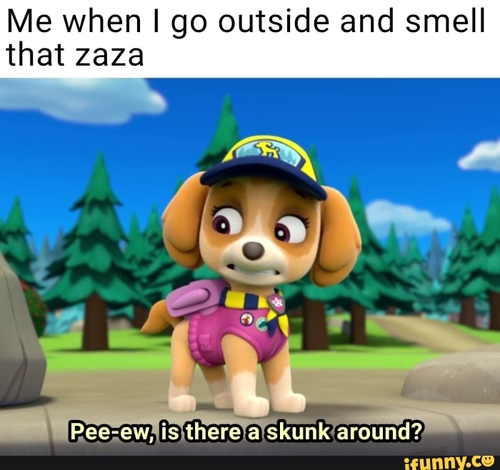 Me when go outside and smell that zaza Pee-ew, is there a skunk around ...