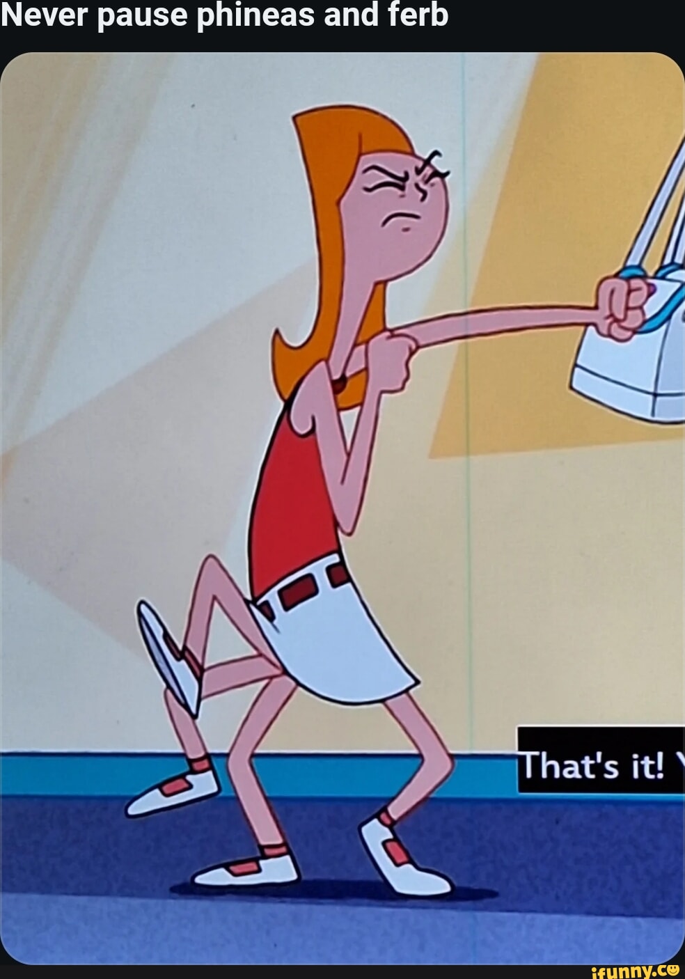 Never pause phineas and ferb - iFunny