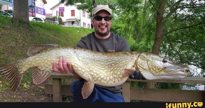 Northern_pike memes. Best Collection of funny Northern_pike pictures on ...