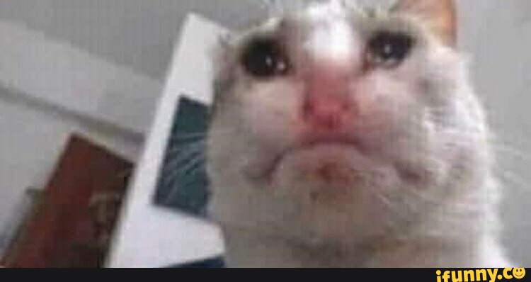 Picture memes SnELNgnYA by OldManRayleigh: 1 comment - iFunny