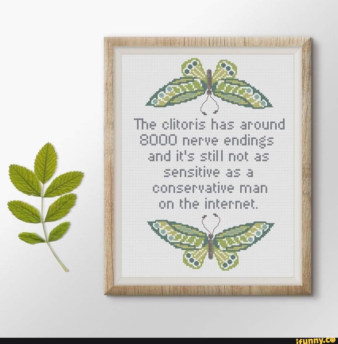 The clitoris has around 8000 nerve endings and it's still not as sensitive as a conservative man ...