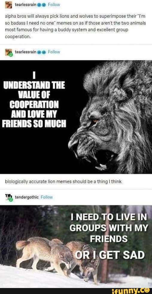 Alpha Rule - to fer buddy and tearlessrain@@ UNDERSTANG THE VALUE OF ...