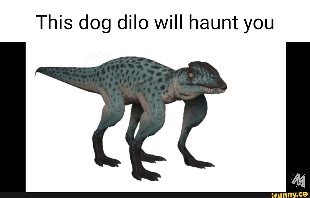 This dog dilo will haunt you - iFunny