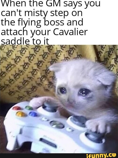 Dndmemes memes. Best Collection of funny Dndmemes pictures on iFunny