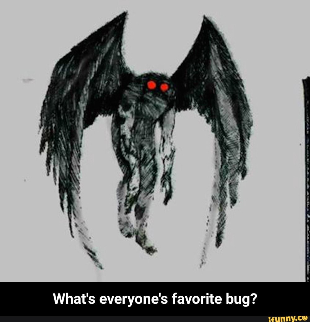 Bugposting memes. Best Collection of funny Bugposting pictures on iFunny