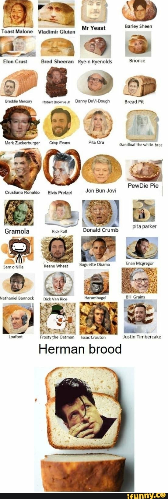 Barley Sheen Toast Malone Viedimir Gluten Yeast Elon Bred Sheeran Rye-n ...