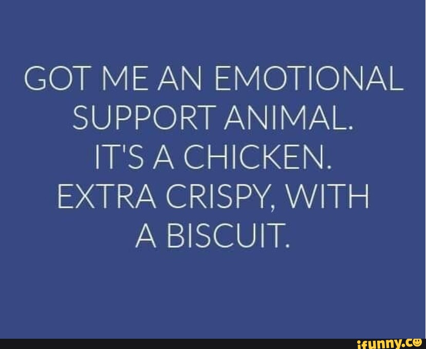 GOT ME AN EMOTIONAL SUPPORT ANIMAL. IT'S A CHICKEN. EXTRA CRISPY, WITH A BISCUIT. - iFunny