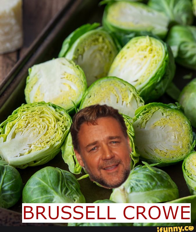 Russell_crowe memes. Best Collection of funny Russell_crowe pictures on ...
