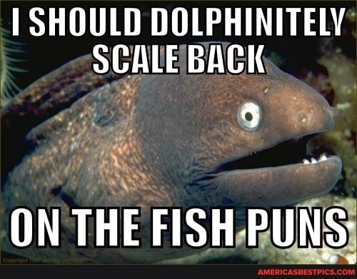 Facebook.com/reelfishingmemes Instagram.com/deennswillow - SHOULD ...