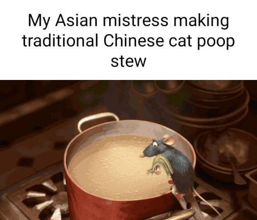My Asian mistress making traditional Chinese cat poop stew - iFunny