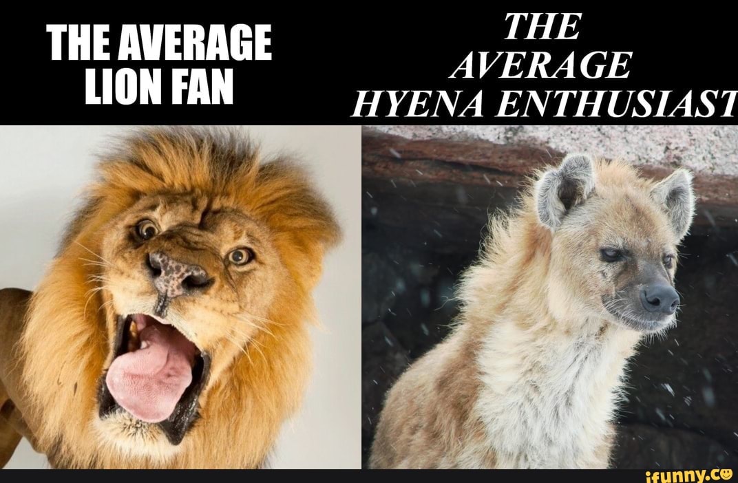 THE THE AVERAGE AVERAGE LION FAN HYENA ENTHUSIAST - iFunny